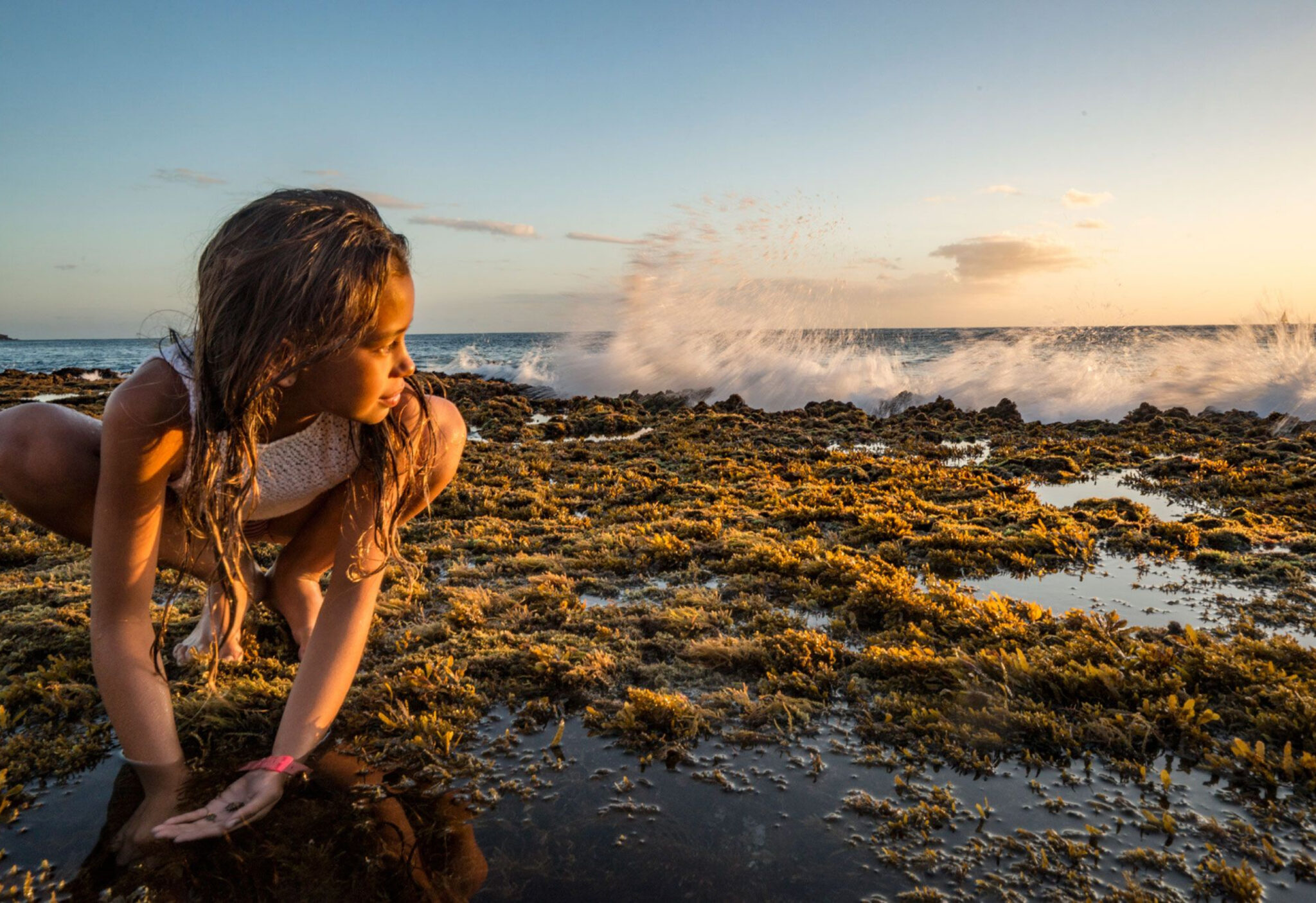 Areas of Impact - Roadmap to Ocean Conservation | SeaLegacy