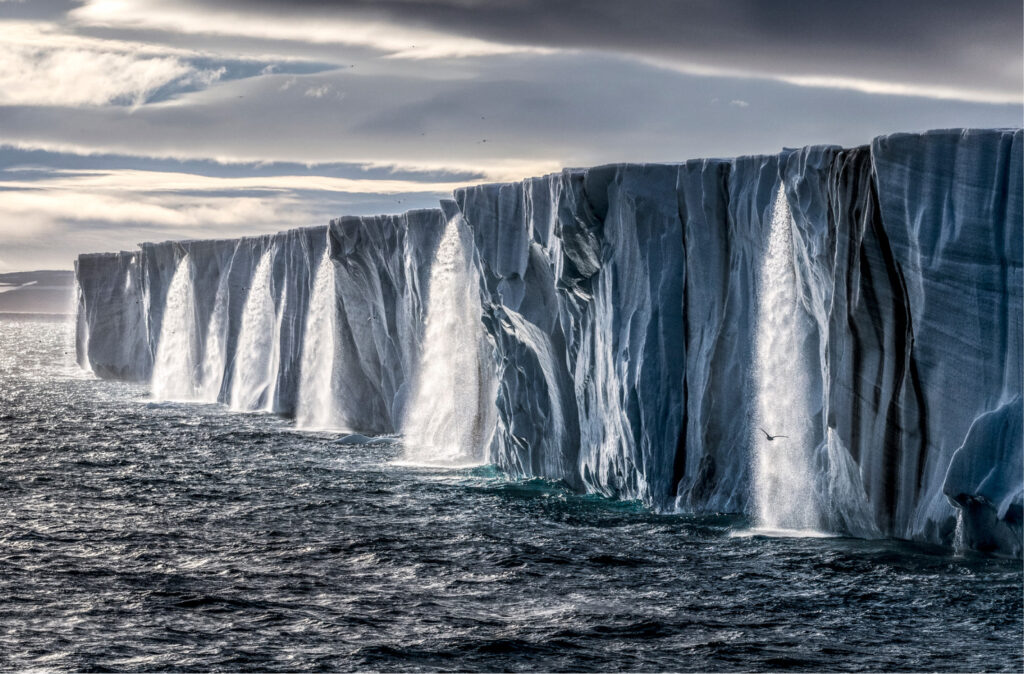 Expeditions: Exploring Ocean Documentaries | SeaLegacy
