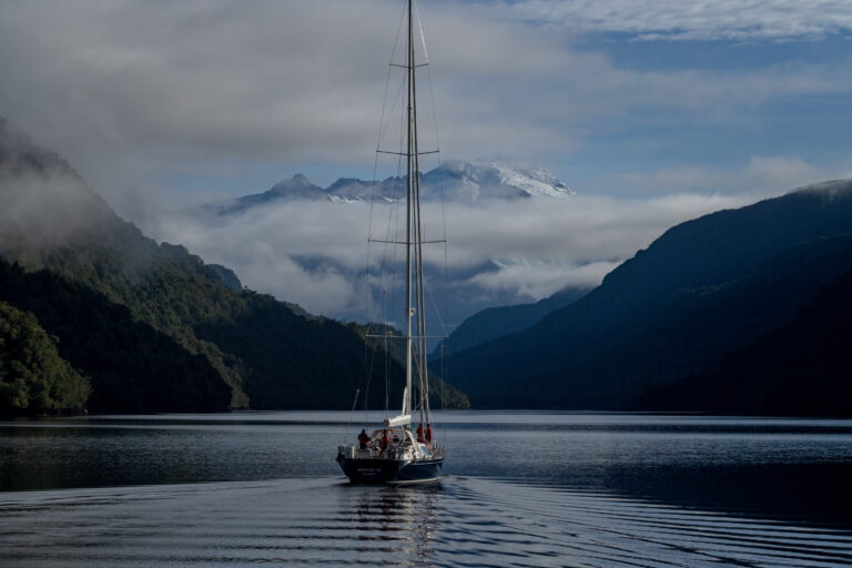 SeaLegacy | Ocean Nonprofit Protecting the Power of the Sea