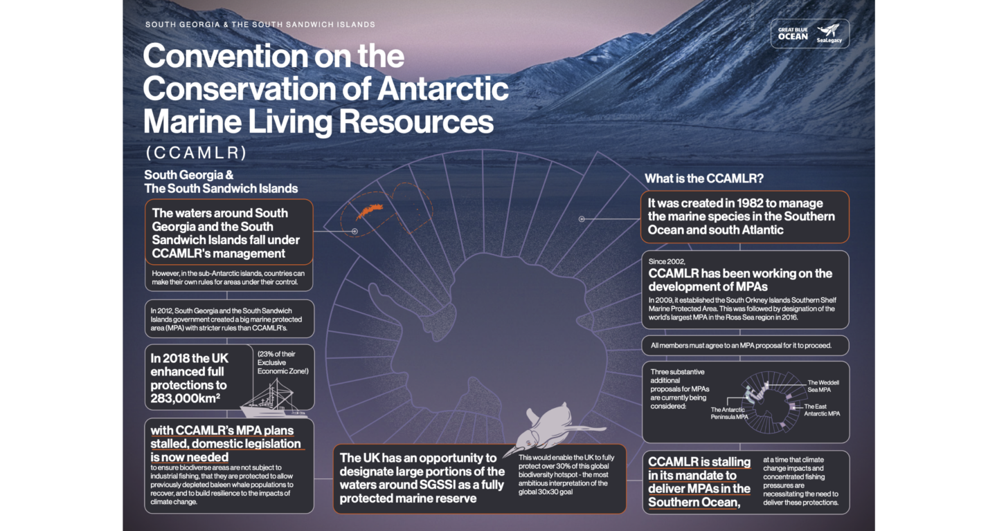 South Georgia and South Sandwich Islands | SeaLegacy