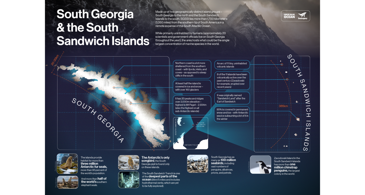 South Georgia and South Sandwich Islands | SeaLegacy